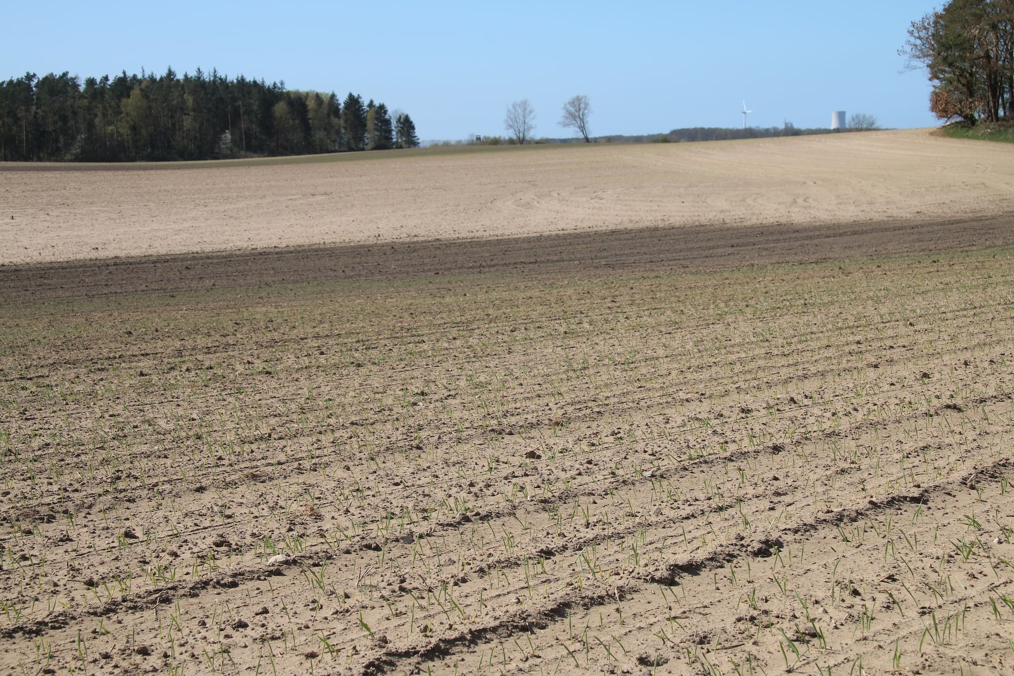 Winderosion: Strategie gegen den Bodenabtrag - Bauernzeitung Winderosion: Strategie gegen den Bodenabtrag - Bauernzeitung
